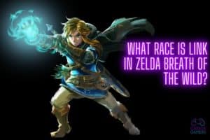 What race is link in Zelda Breath of the WIld? - CareerGamers